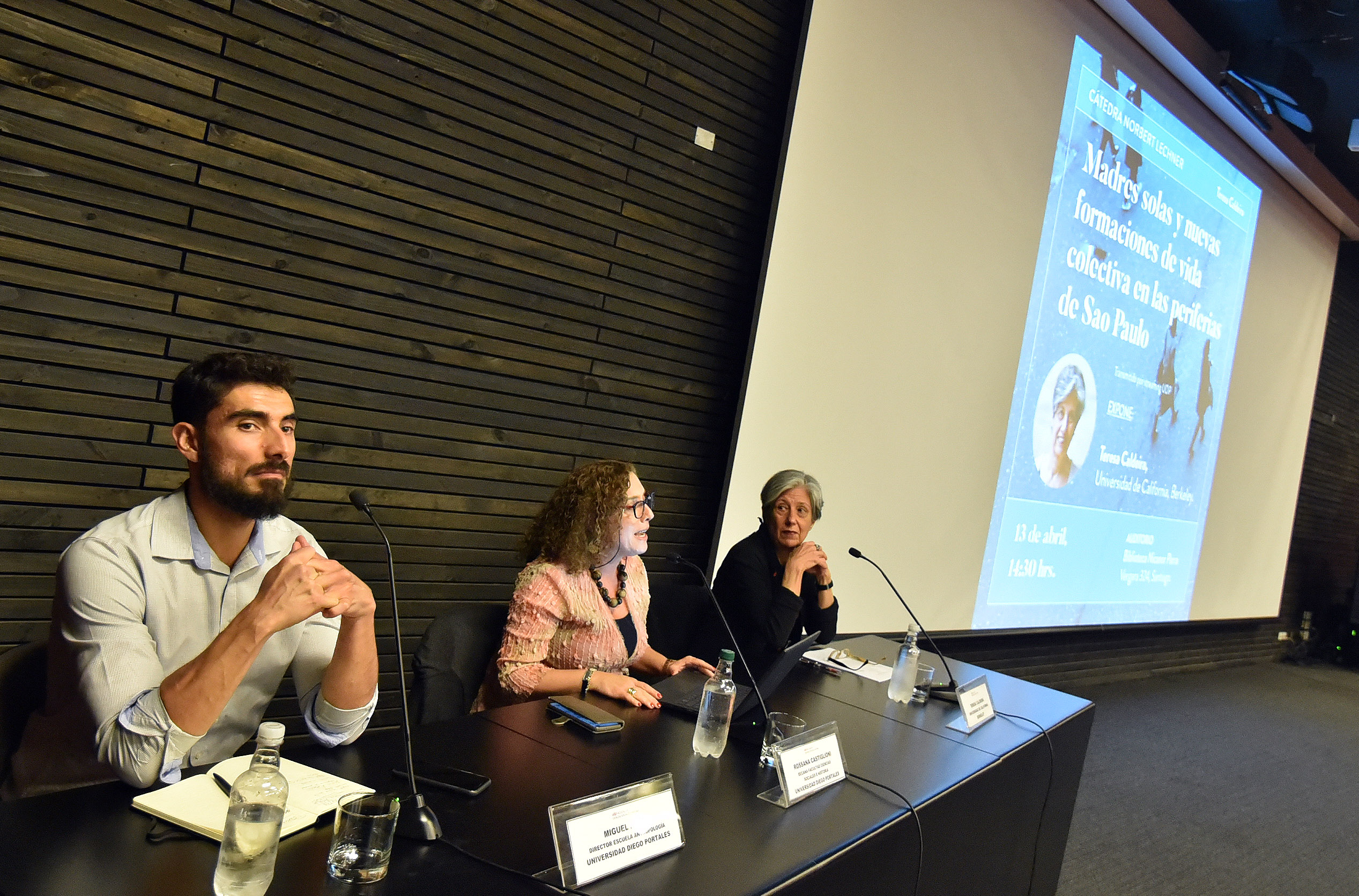 Revive la Cátedra Norbert Lechner “Madres solas y nuevas formaciones de ...