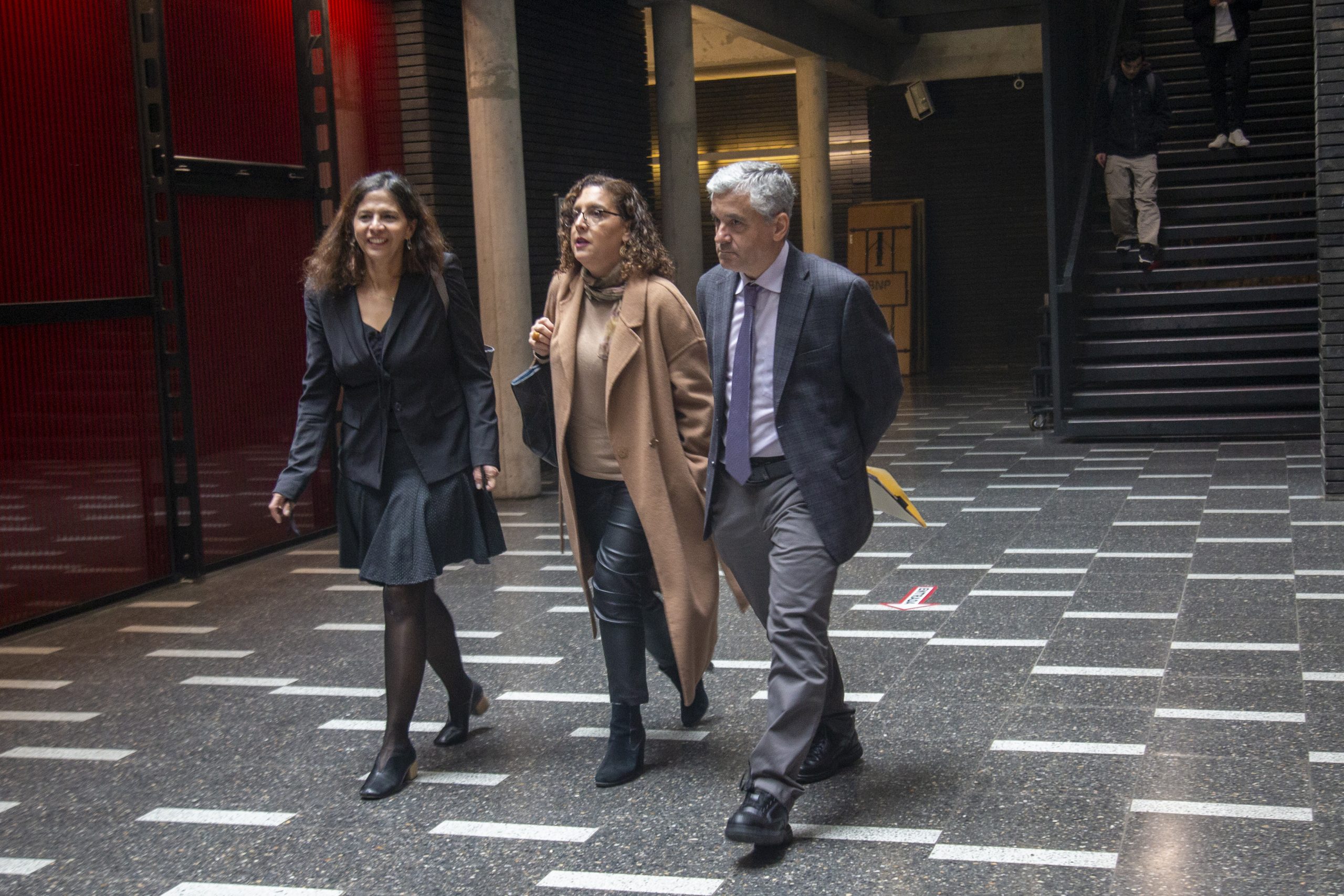 Revive la Cátedra Norbert Lechner “Democracias resilientes e irrupción ...